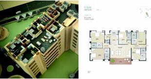 Casa Rivera | at Pal, Surat