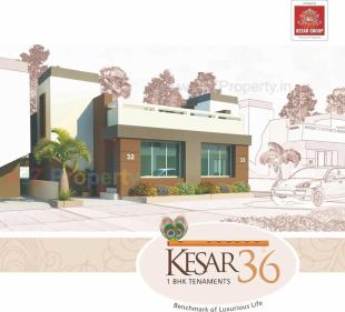 Kesar | at Kapurai, Vadodara